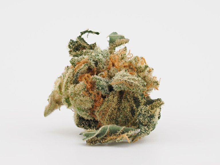 Type I Flower Review: Blue Gatorade by @flavorsbydesignn – The Flavor Chase